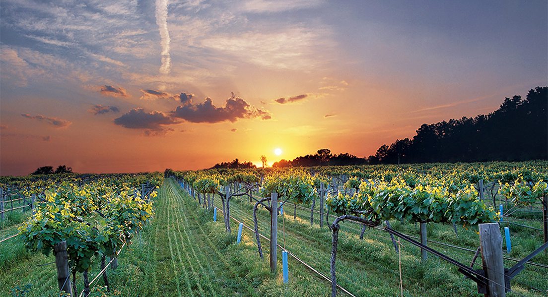 Plan a Getaway to Arkansas Wine Country | 417 Magazine