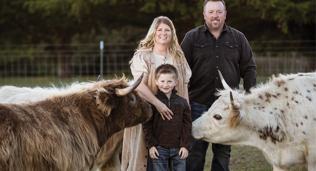 The Miniature Highland Cows at Perfect Picture Pony