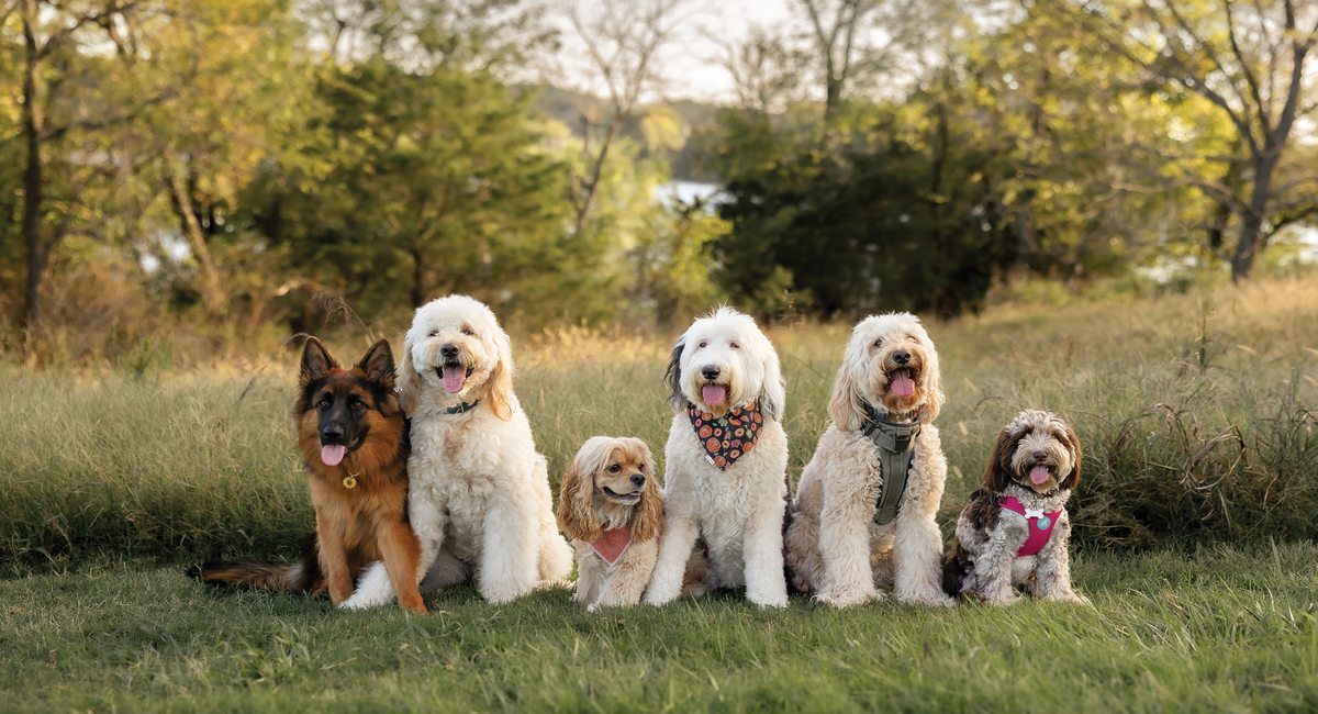 The Dood Crew