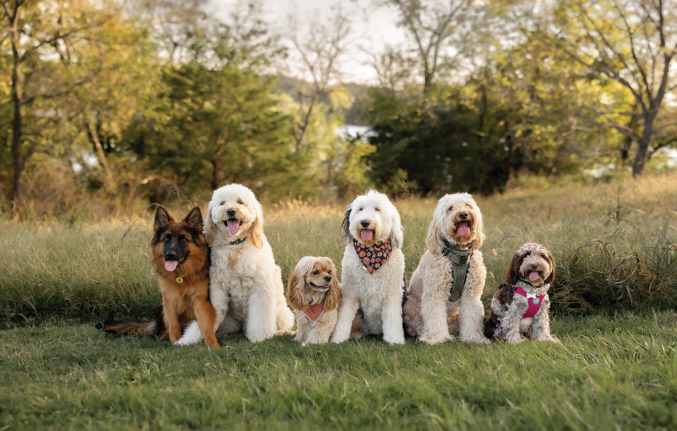 The Dood Crew
