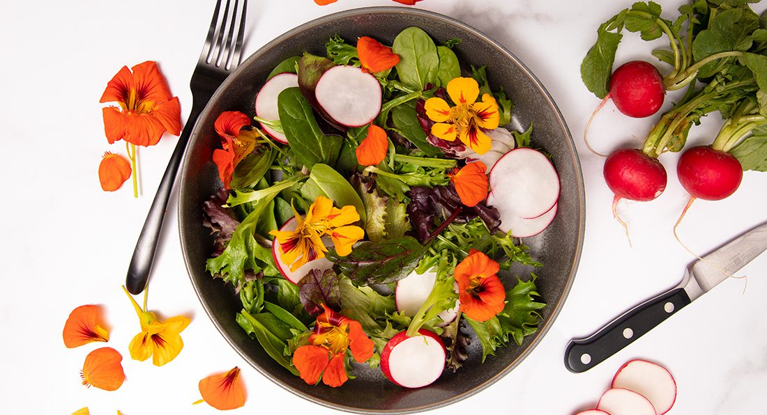 Using Edible Flowers in the Kitchen