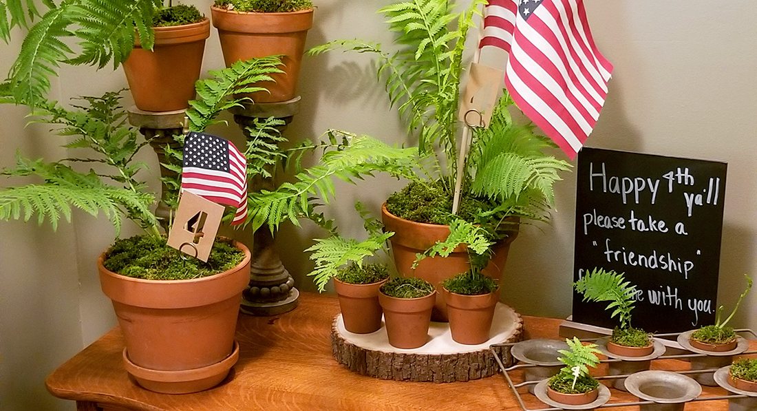 A Tradition of Friendship Ferns