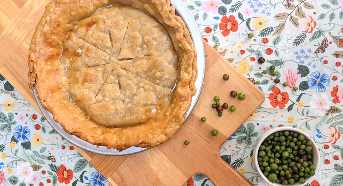 How to Make Wild Gooseberry Pie