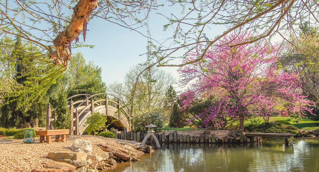 5 Best Outdoor Spring Activities in Southwest Missouri