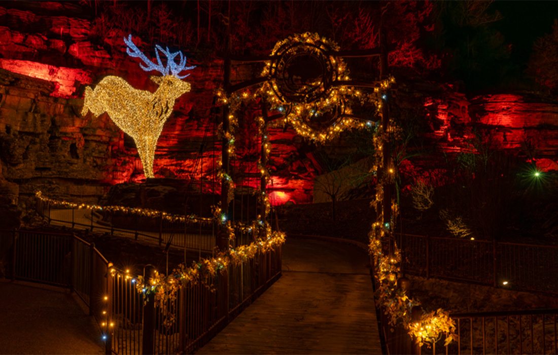 Top of the Rock: Best Pre-Tour Stops for Nature at Night | 417 Magazine