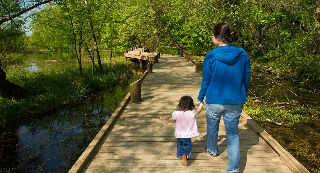 Escape into the Woods at the Springfield Conservation Nature Center