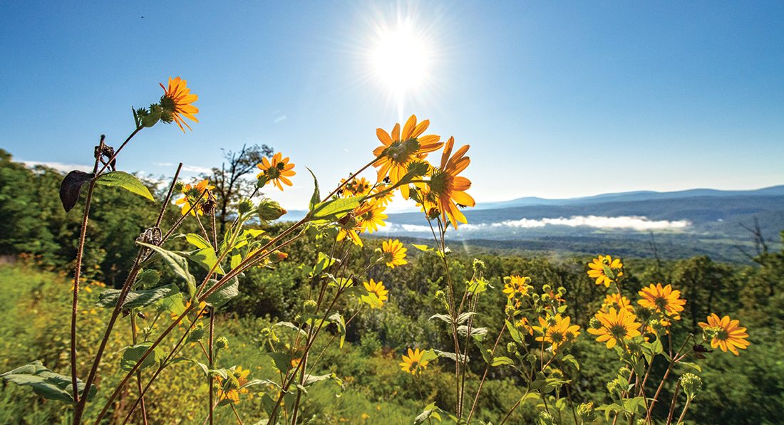 Drive or Ride the Pig Trail Scenic Byway in Arkansas | 417 Magazine