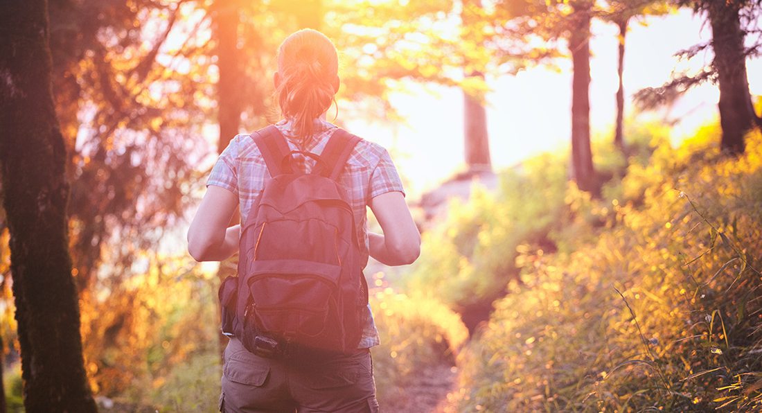 Summer in Ritter Springs