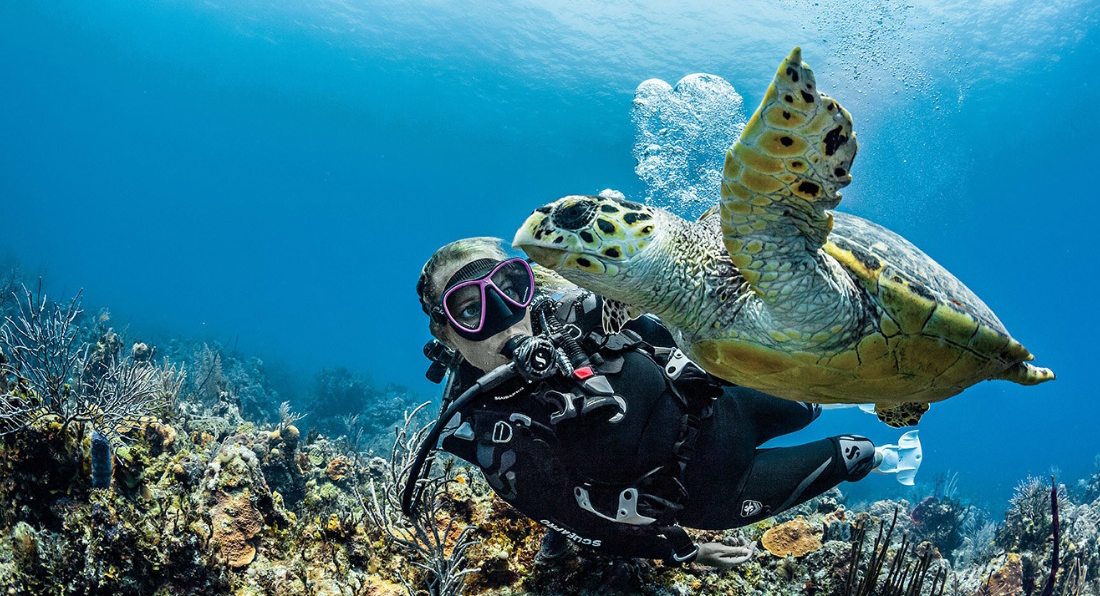 Prep Your Family for Adventure with Scuba Certification at Diventures ...